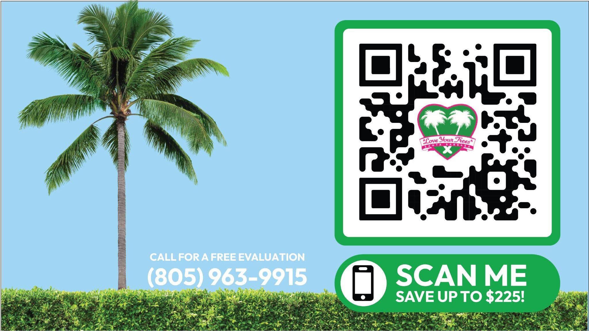 Strategic Summertime Campaign for Branch Out Tree Care - Oniracom
