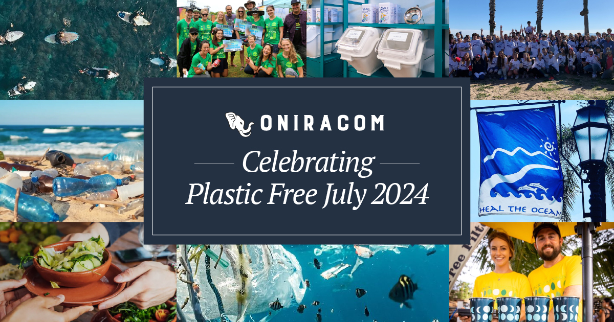 Plastic 2024